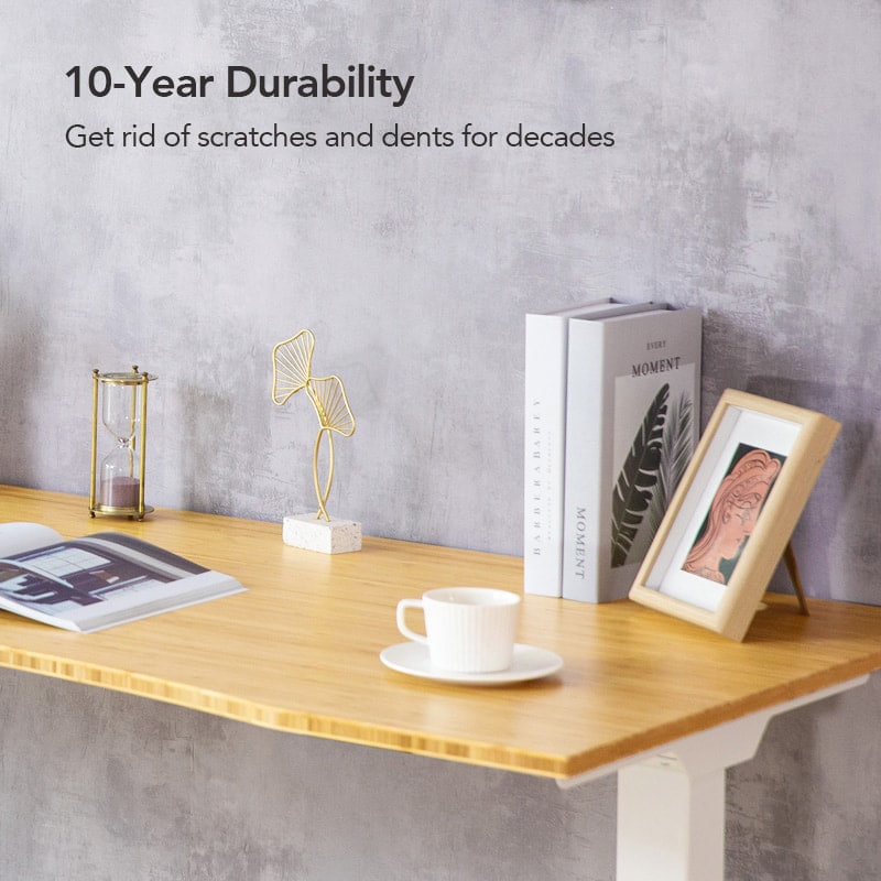 Standard Standing Desk (E2) | Flexispot