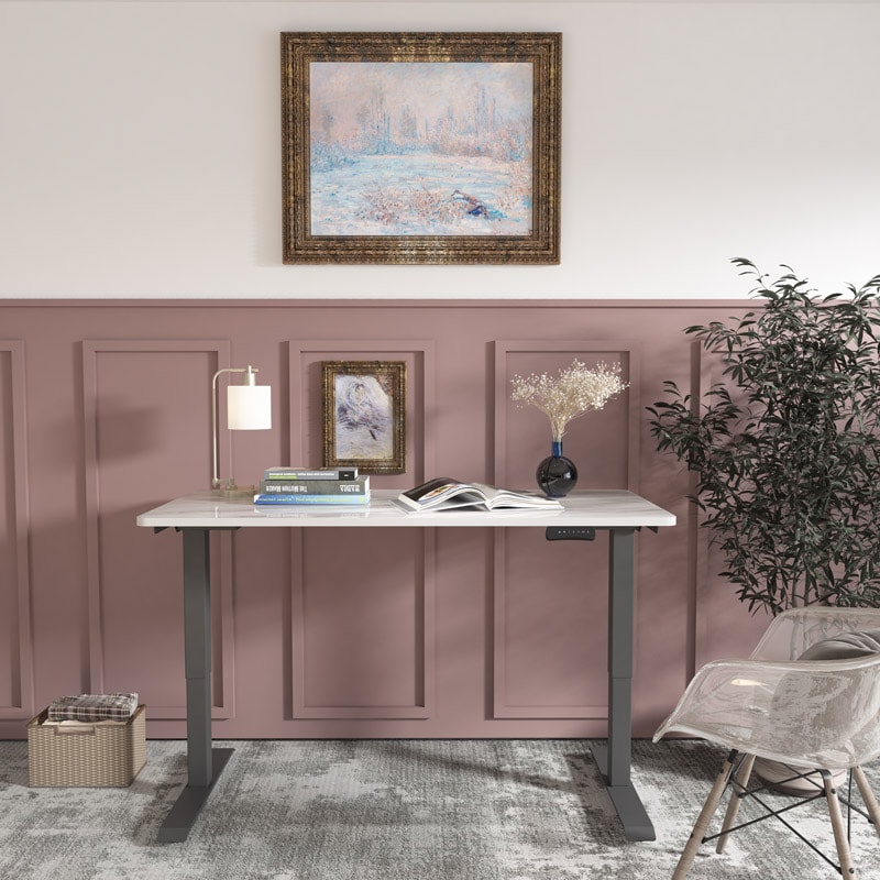 Extra large desktop | FlexiSpot Standing Desk Pro Series-Extra large ...