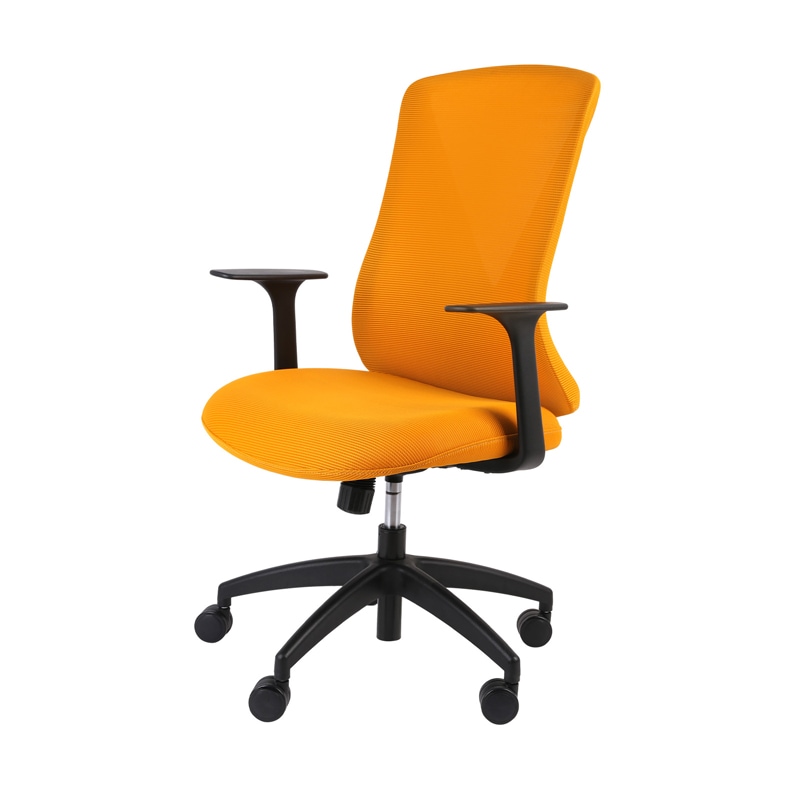Ergonomic Office Chair OC15 | Flexispot