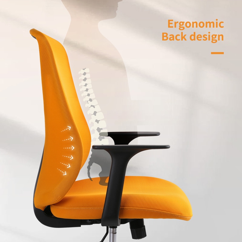 Ergonomic Office Chair OC15 | Flexispot