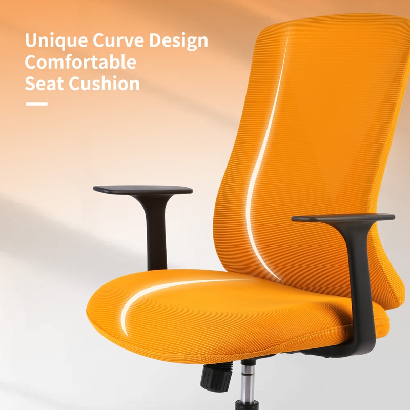 Ergonomic Office Chair OC15 | Flexispot