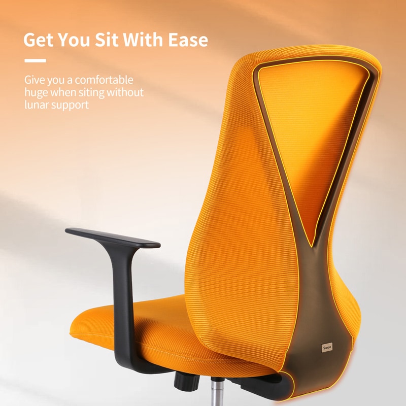 Ergonomic Office Chair OC15 | Flexispot