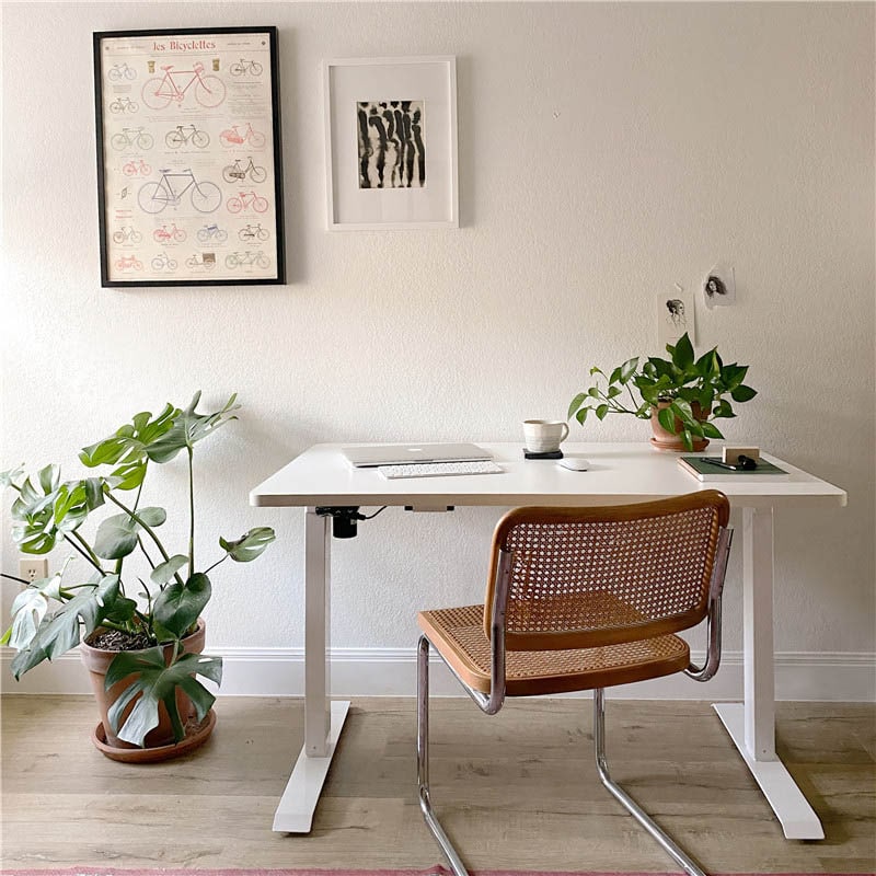 Extra large desktop | FlexiSpot Standing Desk Pro Series-Extra large ...