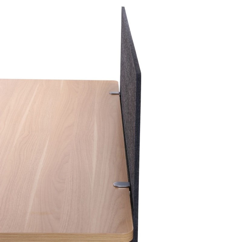 Modesty Panel DP1/DP2丨FlexiSpot