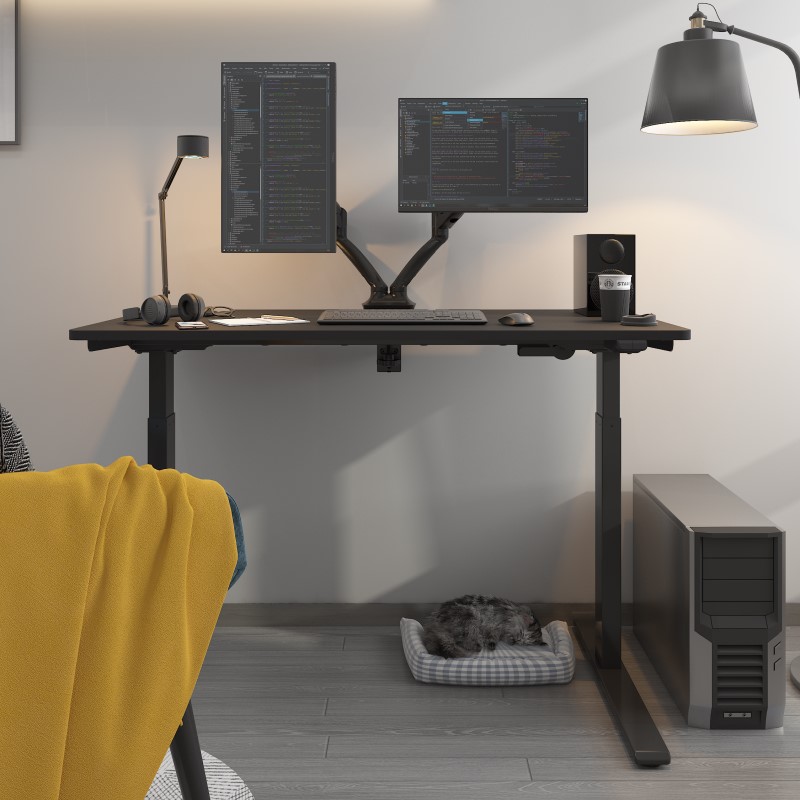 Electric Quick-Install Height Adjustable Desk EC9 | FlexiSpot