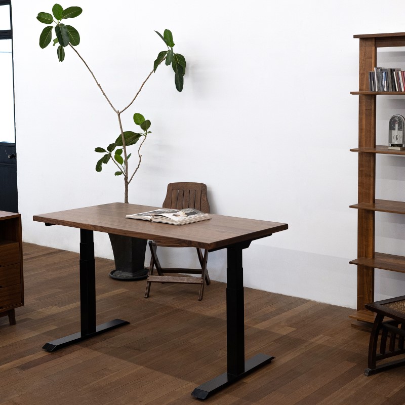 Willow Pro Solid Wood Standing Desk | Flexispot
