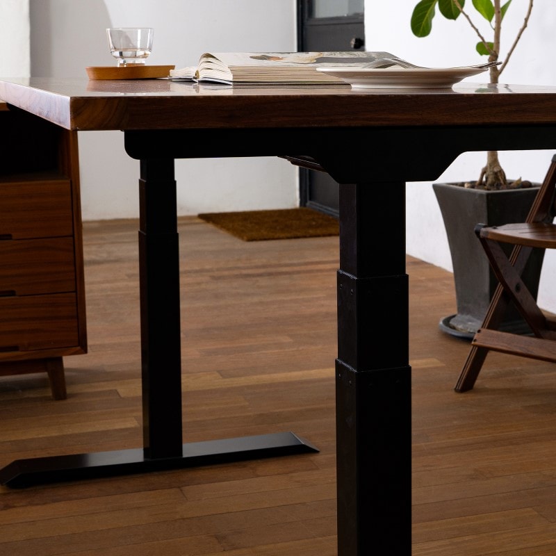 Willow Pro Solid Wood Standing Desk | Flexispot