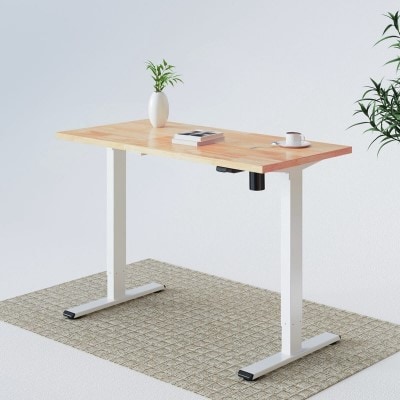 Willow Rectangle Standing Desk | Flexispot