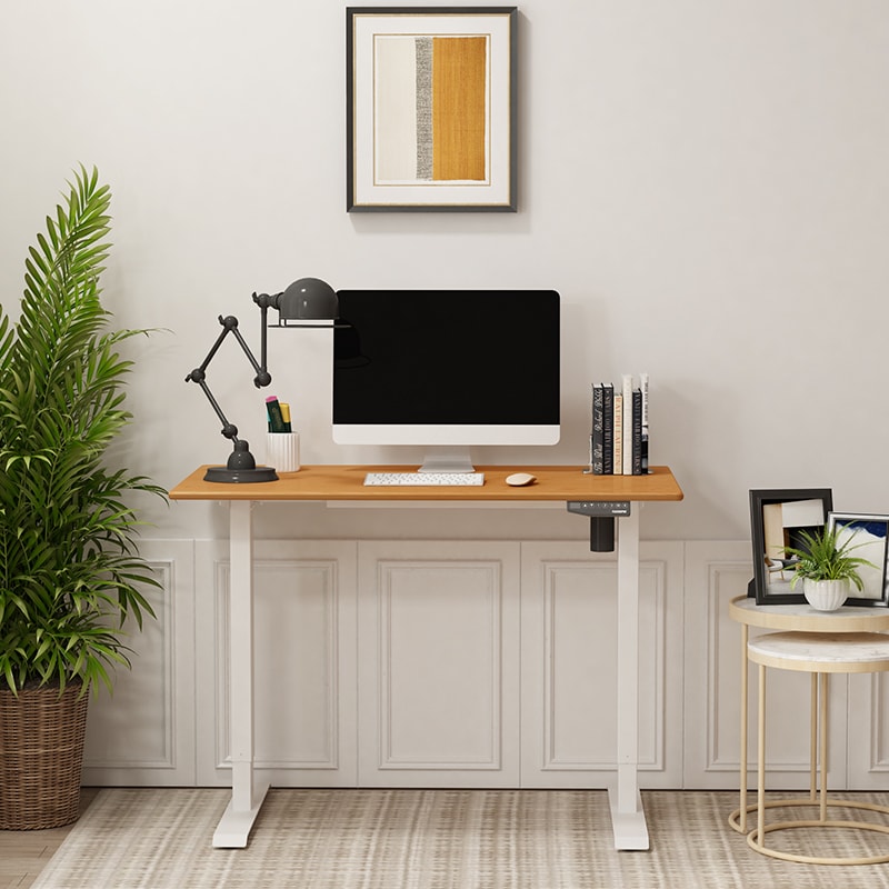 Willow Rectangle Standing Desk | Flexispot