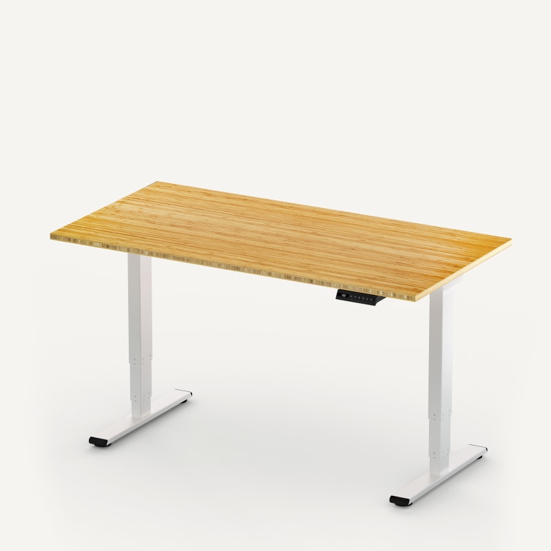 Pro Standing Desk (E5) | Flexispot